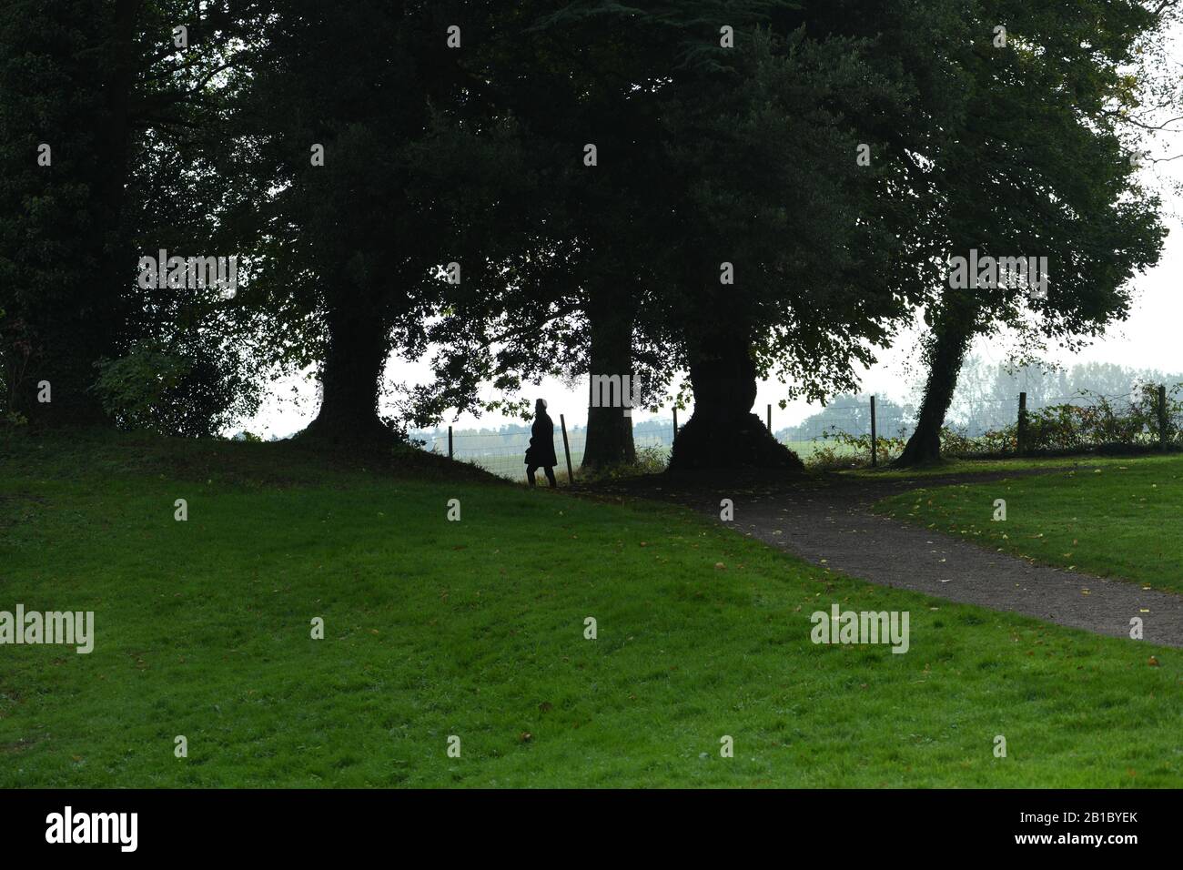 Keele grounds hi-res stock photography and images - Alamy