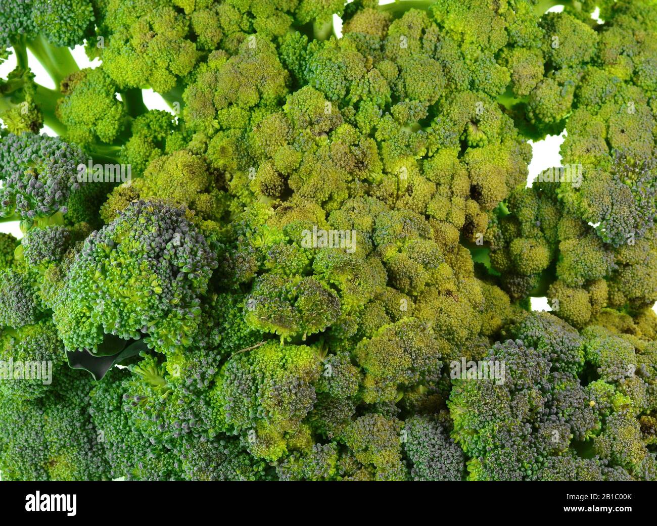 Closeup Green Broccoli texture background Stock Photo - Alamy