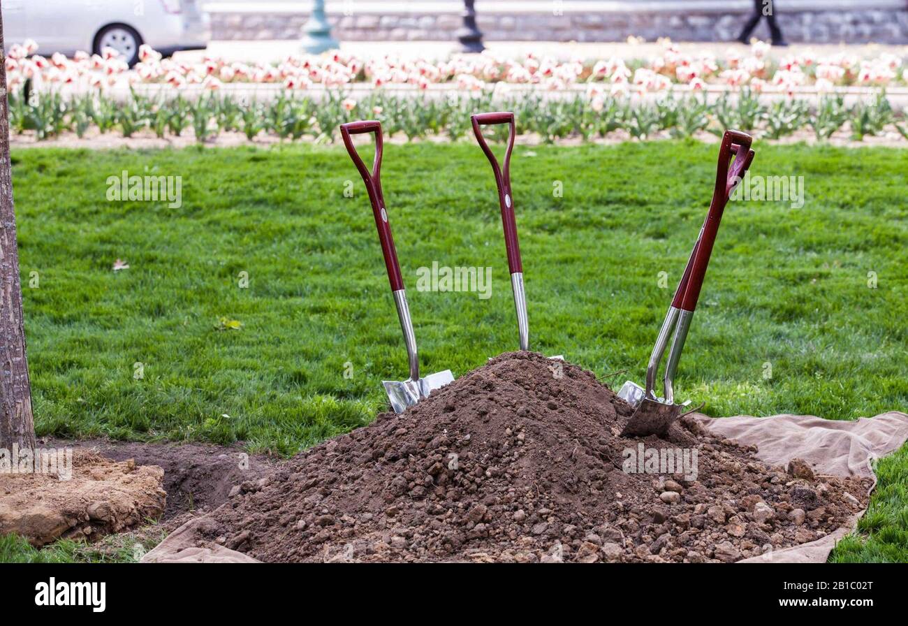 Fulbright Program Commemorative Tree Planting Ceremony (26582379965 ...