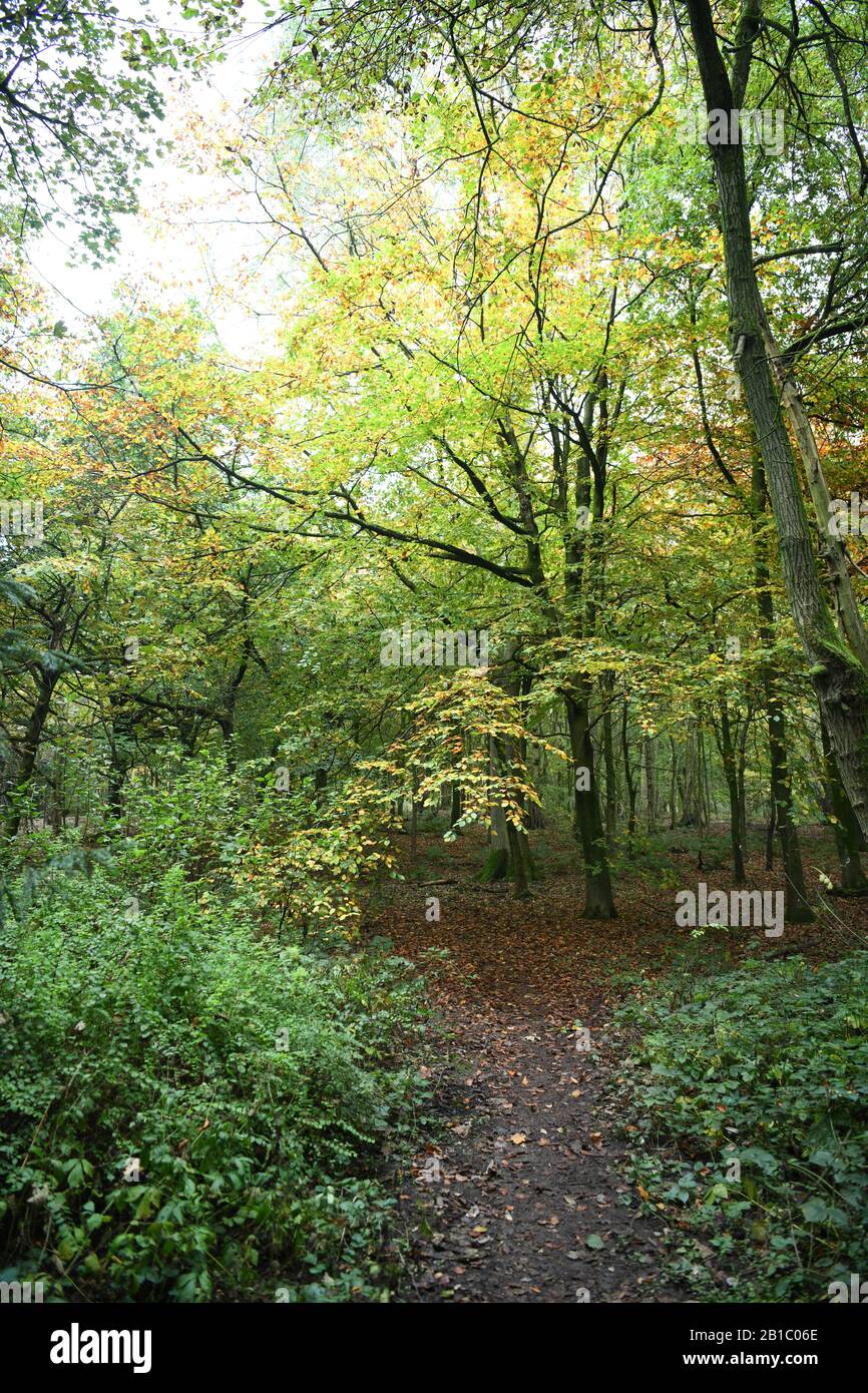 Keele grounds hi-res stock photography and images - Alamy