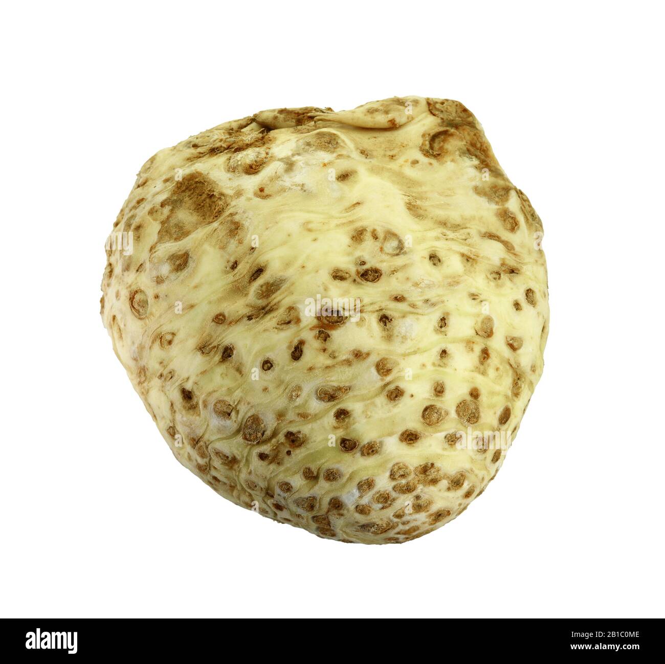 celery root on white background Stock Photo - Alamy