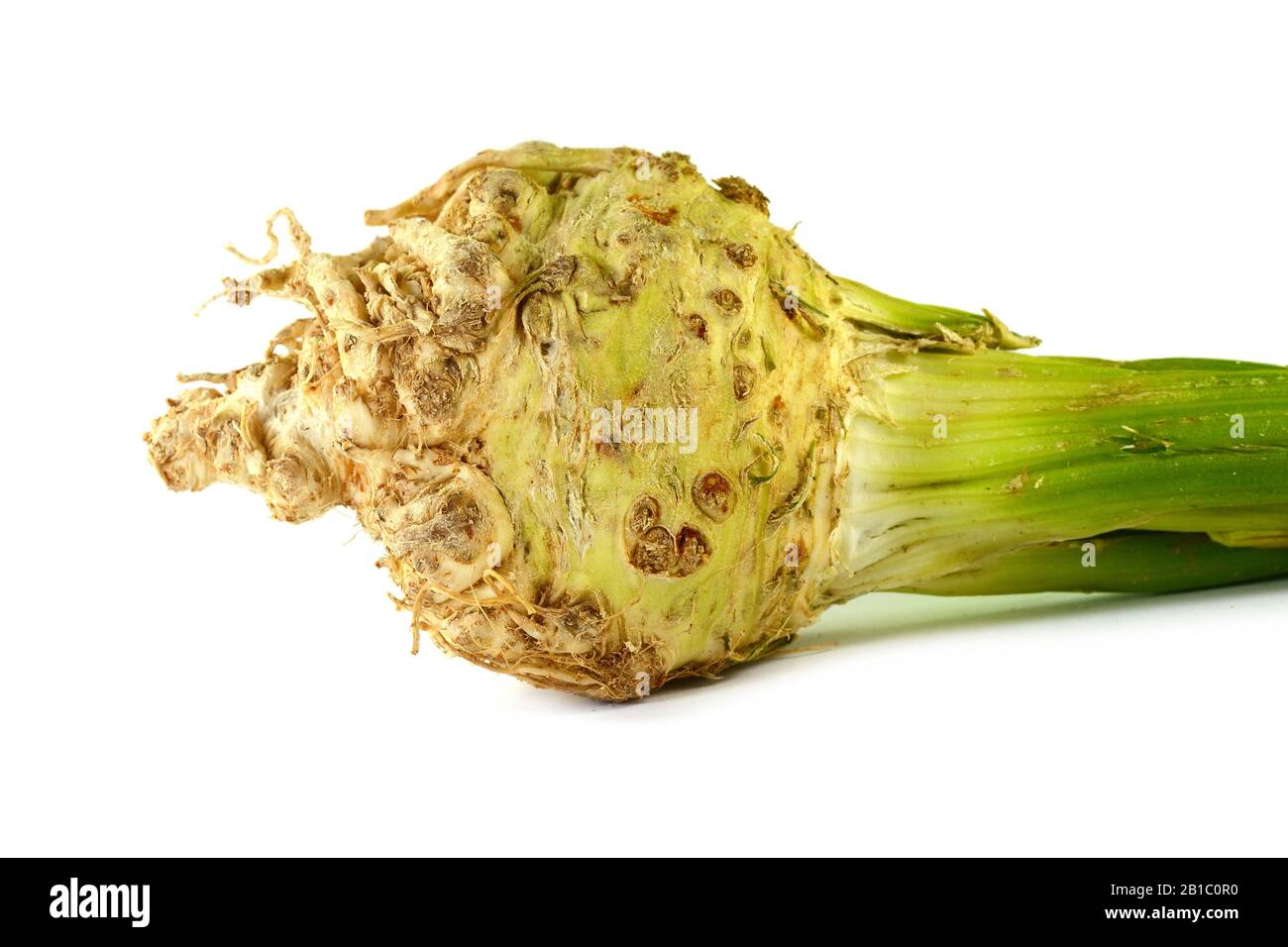 Fresh celery root with leaf isolated on white background Stock Photo ...
