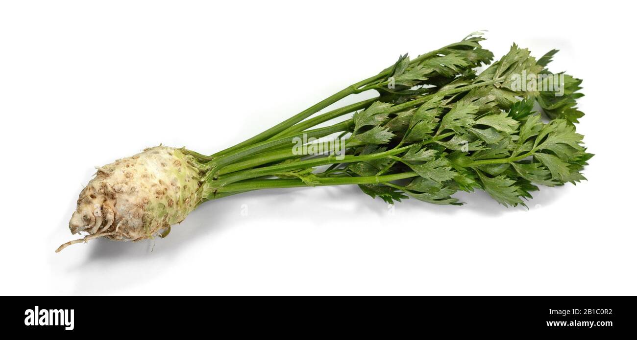 Fresh celery root with leaf isolated on white background Stock Photo ...