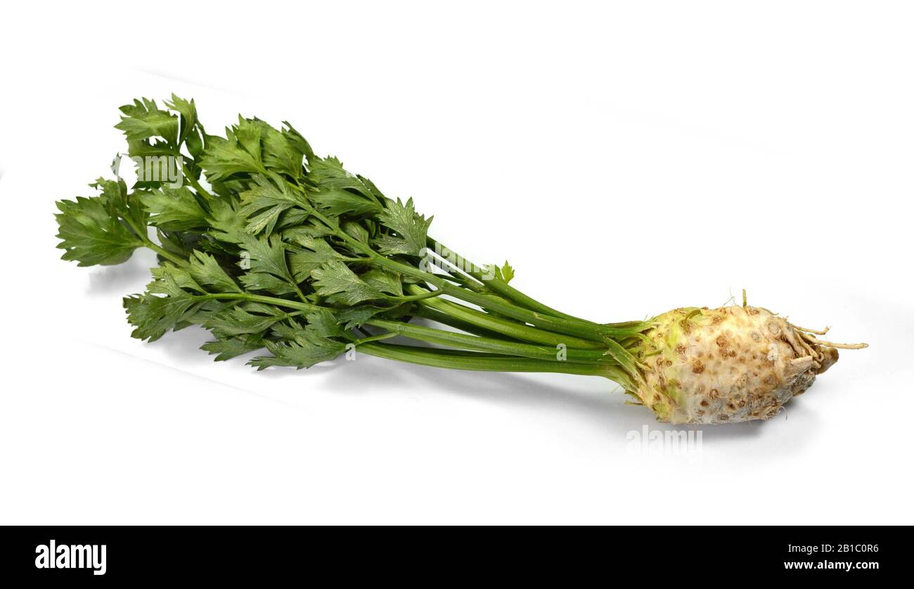 Fresh celery root with leaf isolated on white background Stock Photo ...
