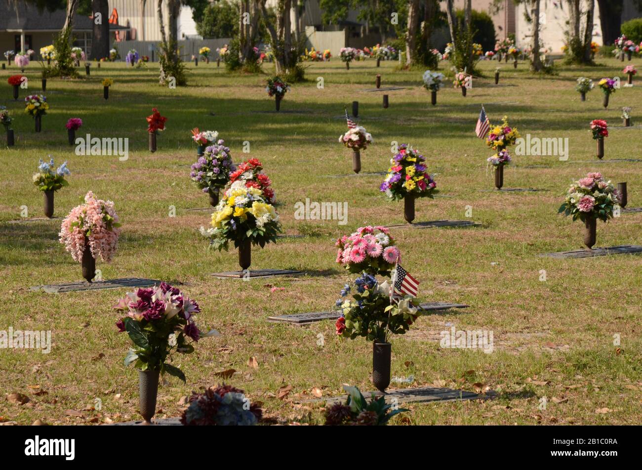 A SOLDIERS STORY: Veterans day is celebrated at Greenwich cemetery, a ...