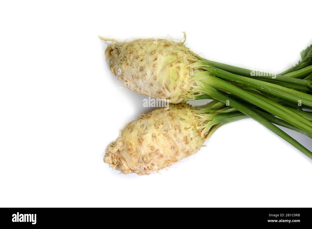 Fresh celery root with leaf isolated on white background Stock Photo ...