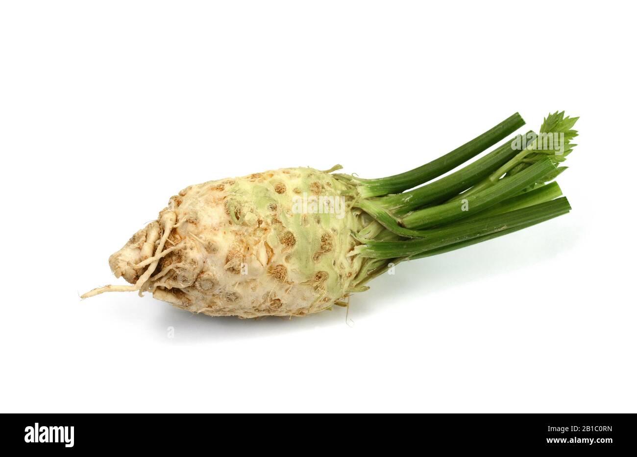 Fresh celery root with leaf isolated on white background Stock Photo ...