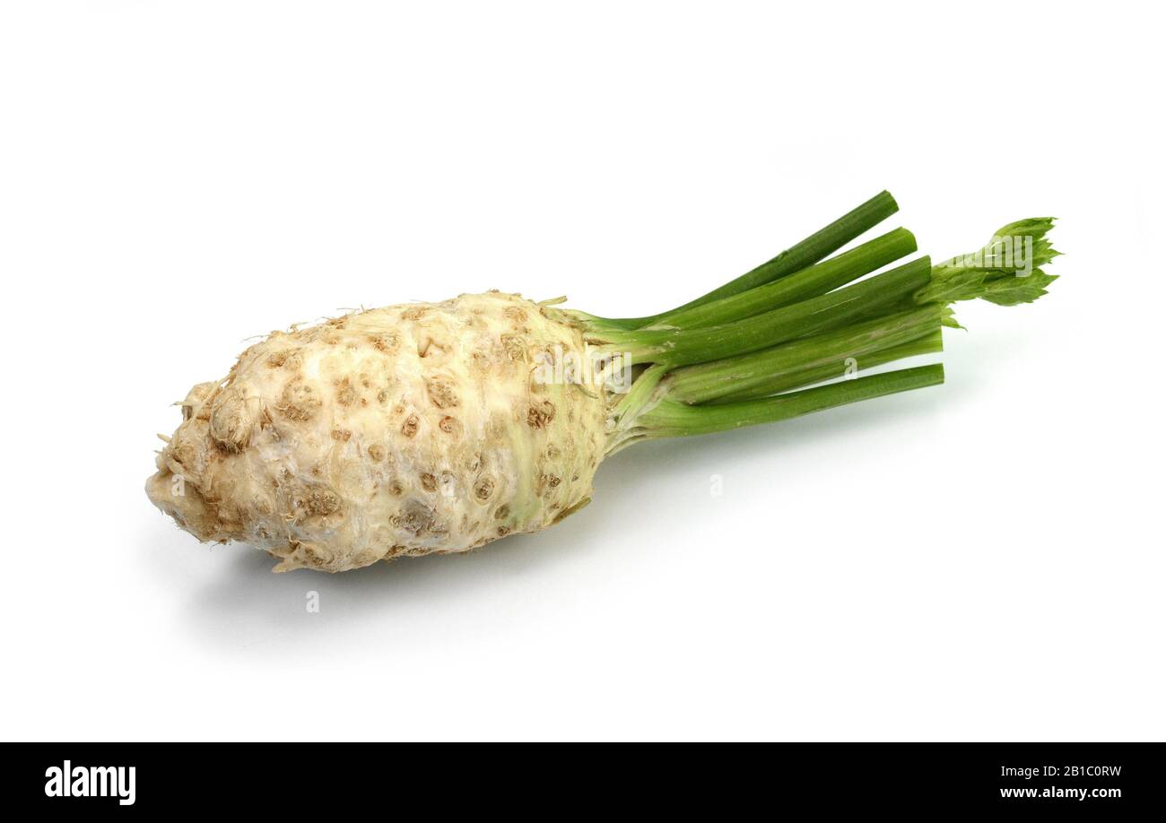 Fresh celery root with leaf isolated on white background Stock Photo ...