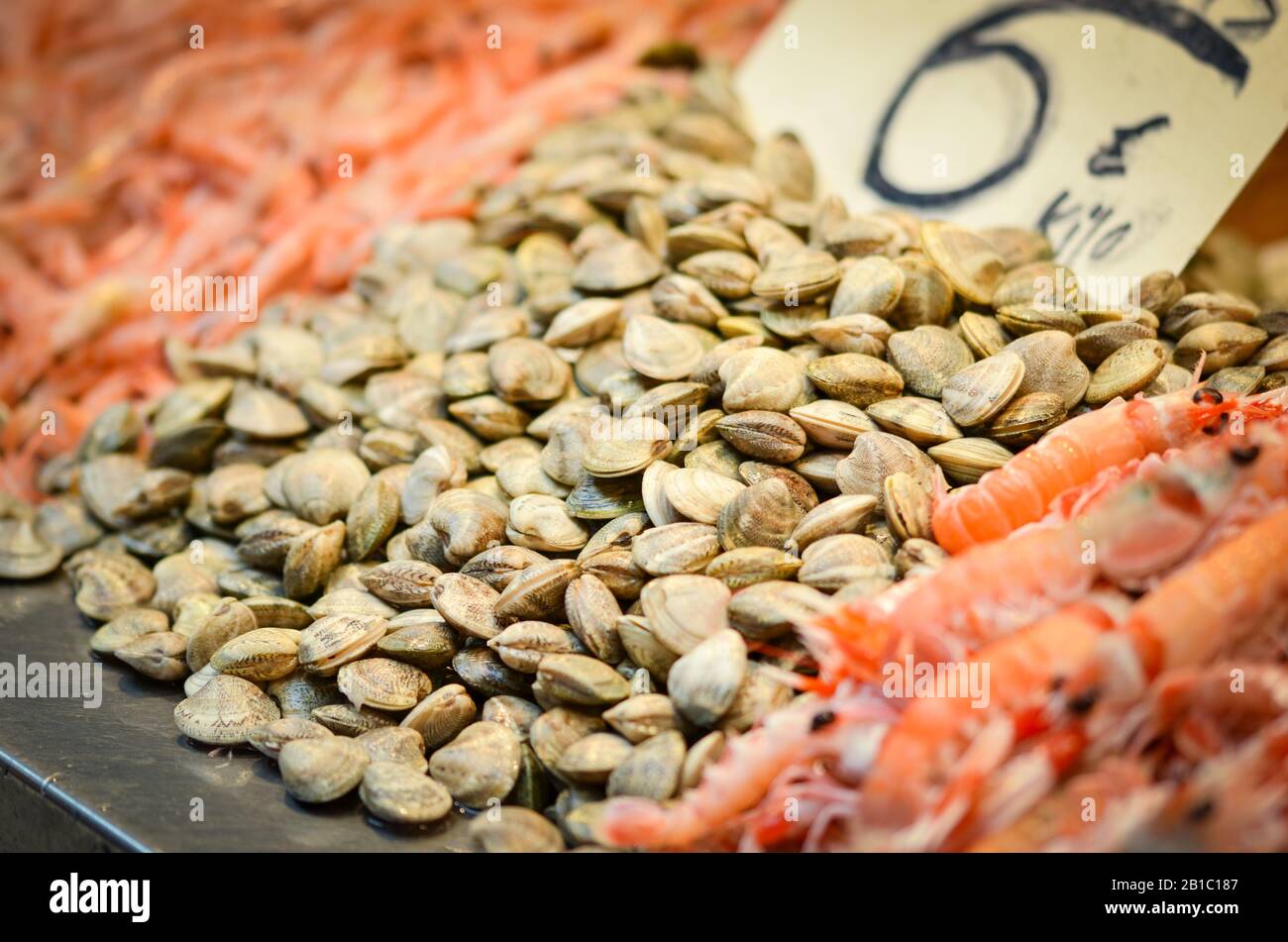 fresh mix seafood within the fish market - octopus, shells, oysters ...