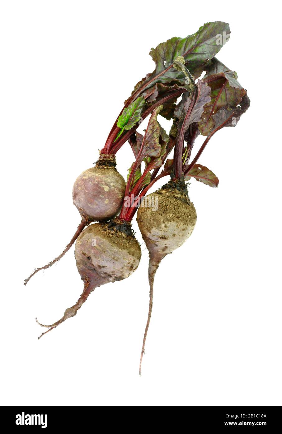 Beetroot with leaves, fresh whole beet isolated on white background ...