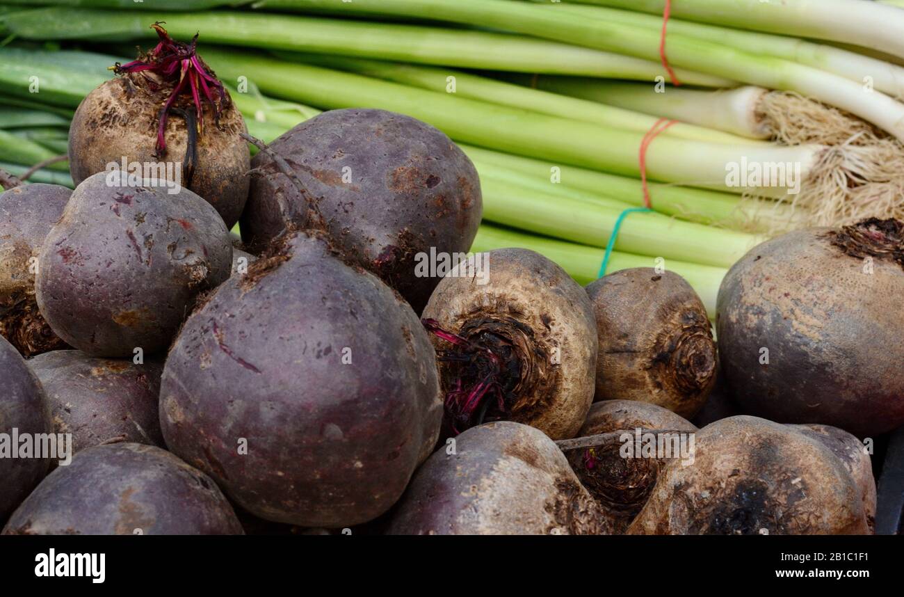 Fresh beetroot background Stock Photo - Alamy