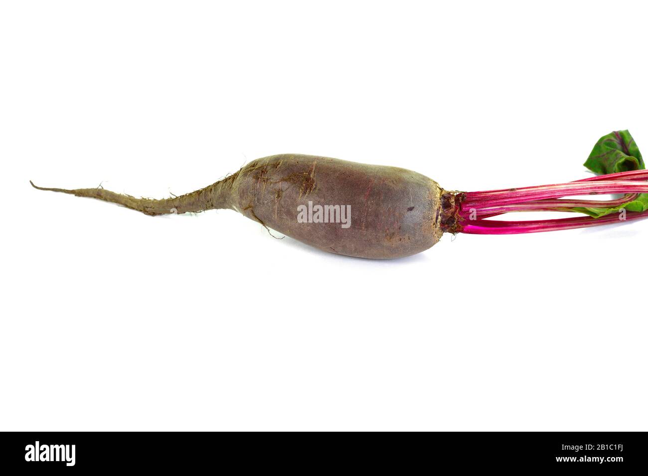 Beetroot with leaves, fresh whole beet isolated on white background ...
