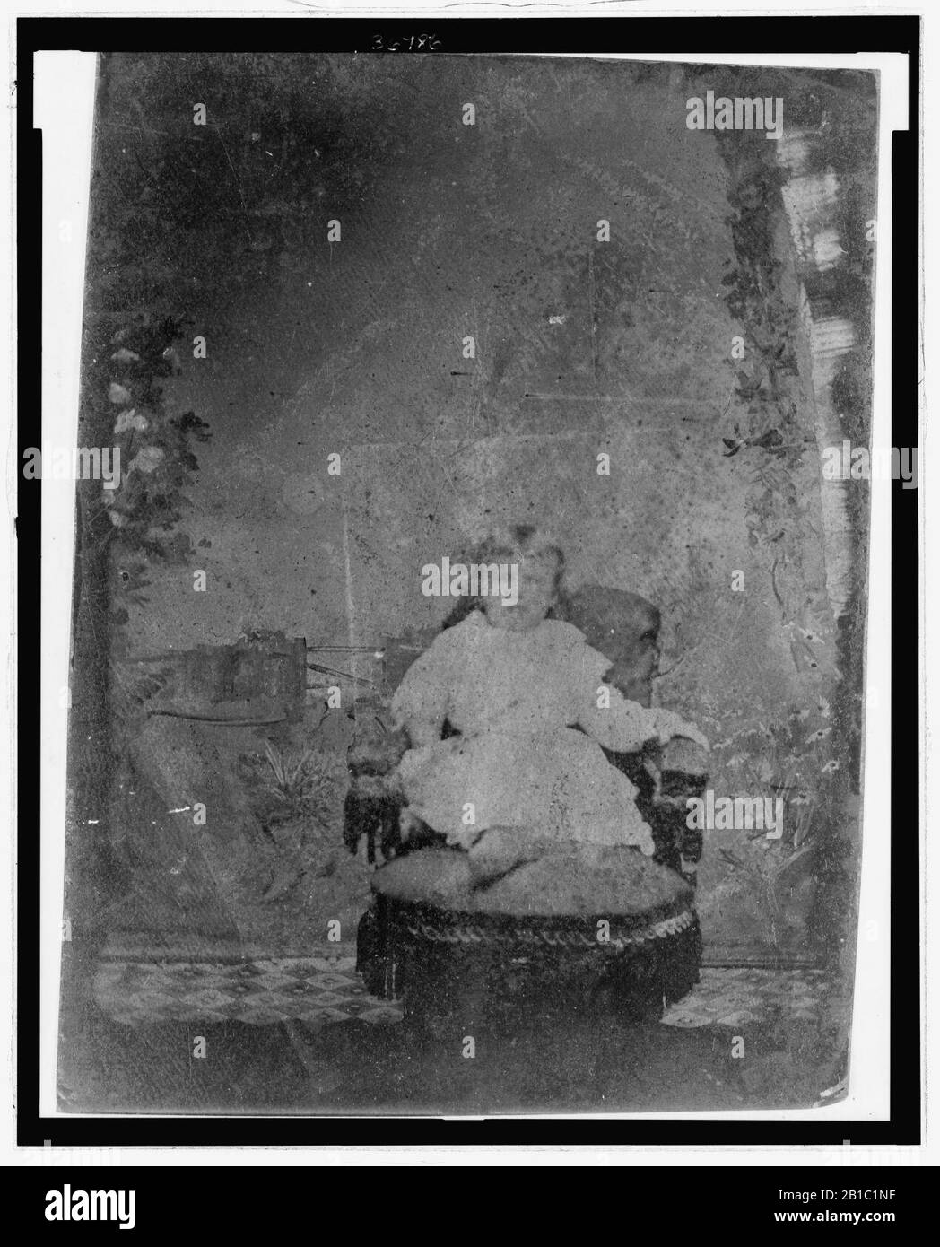 Full-length portrait of a young child, seated in a chair Stock Photo ...