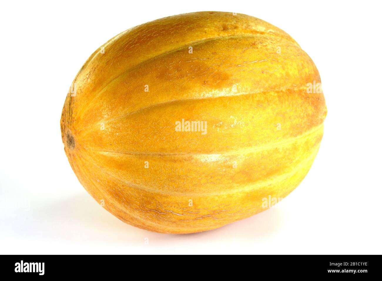 Single melon isolated on white Stock Photo - Alamy