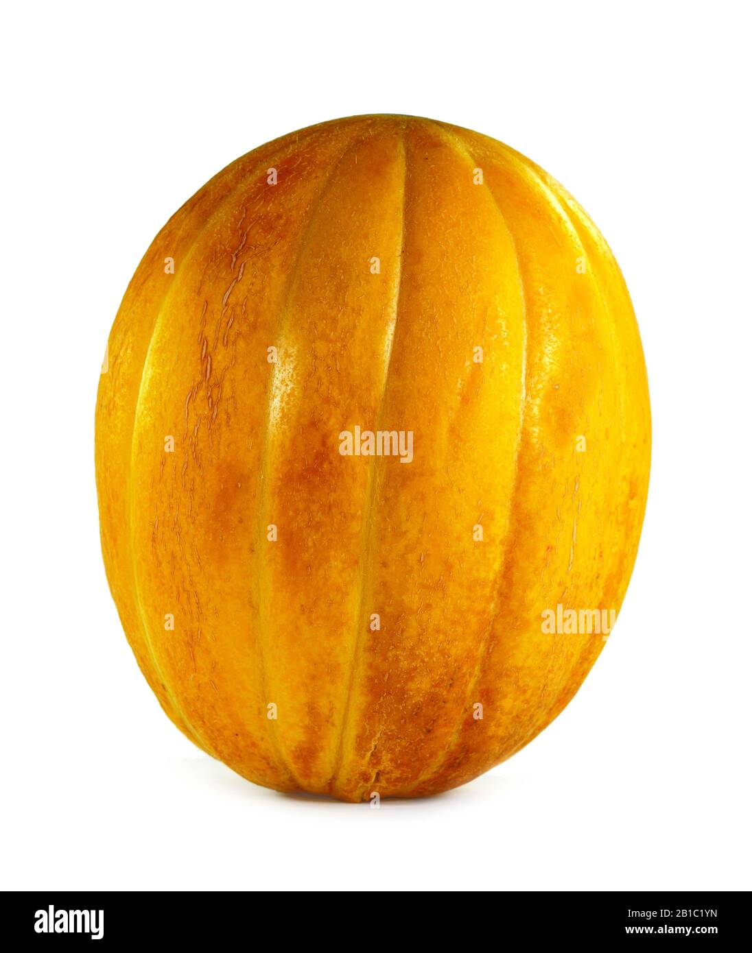 Single melon isolated on white Stock Photo - Alamy