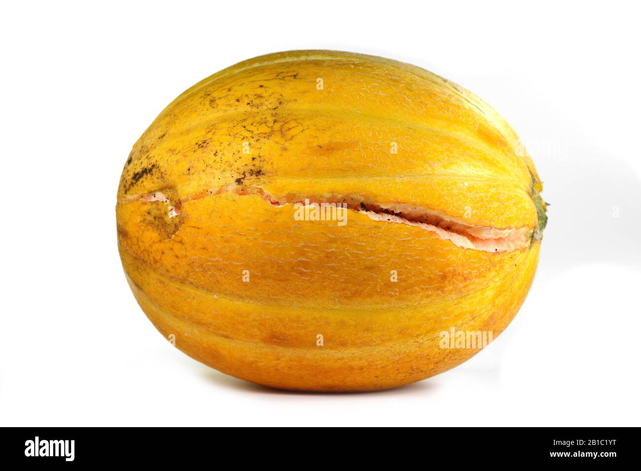 Single melon isolated on white Stock Photo - Alamy