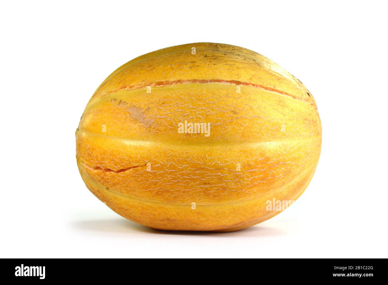 Single melon isolated on white Stock Photo - Alamy