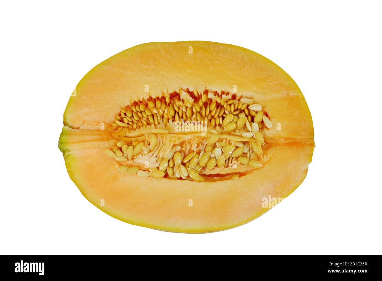 Single melon isolated on white Stock Photo - Alamy