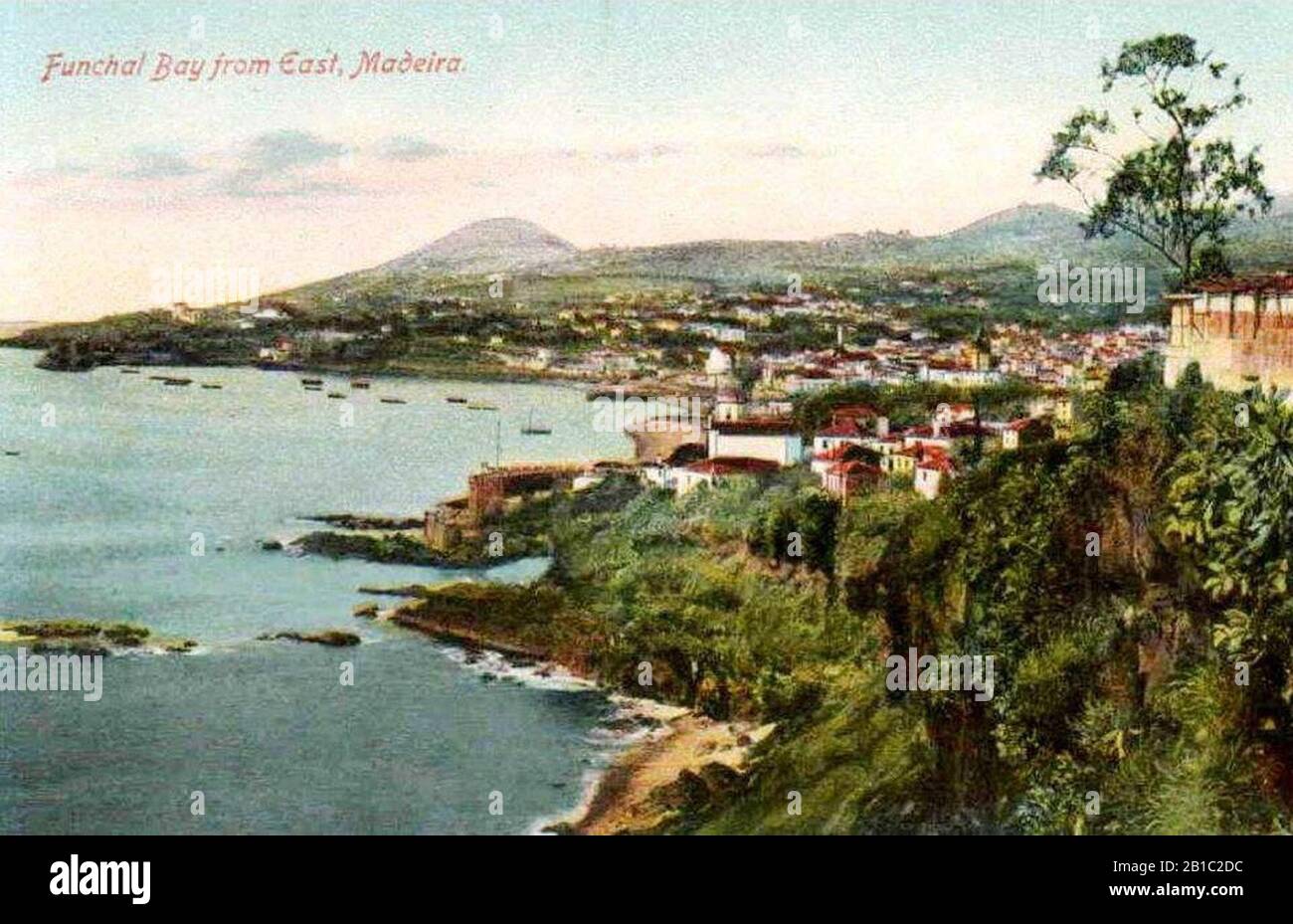 Funchal Bay from East, Madeira, c. 1900 Stock Photo - Alamy