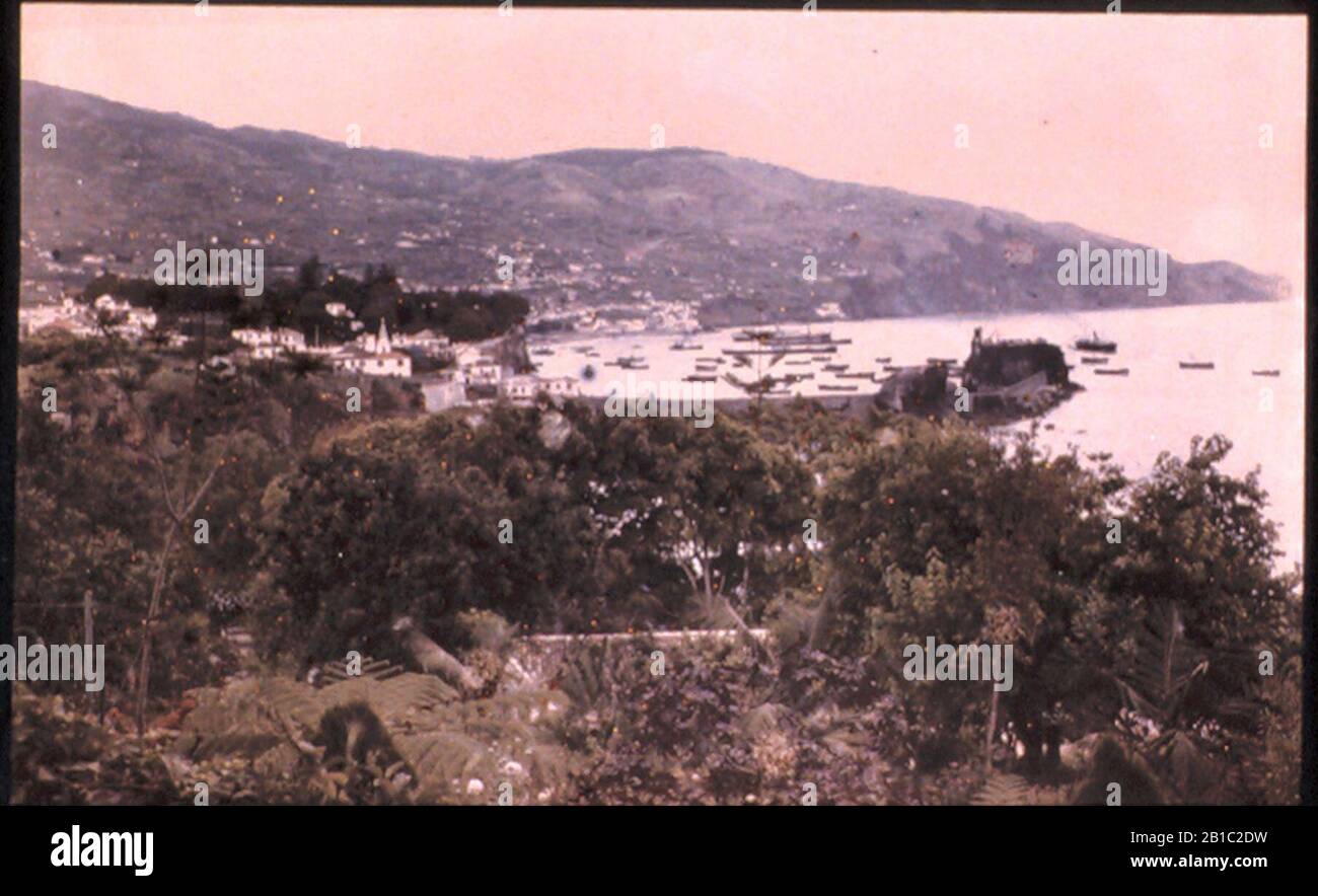 Funchal Bay Madeira by Sarah Angelina Acland c.1910 (6 Stock Photo - Alamy