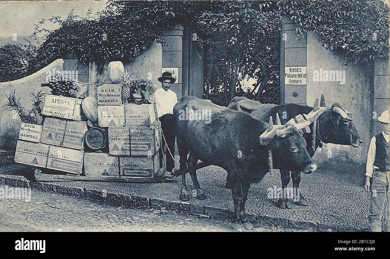 Funchal, Madeira, 1914 Stock Photo - Alamy