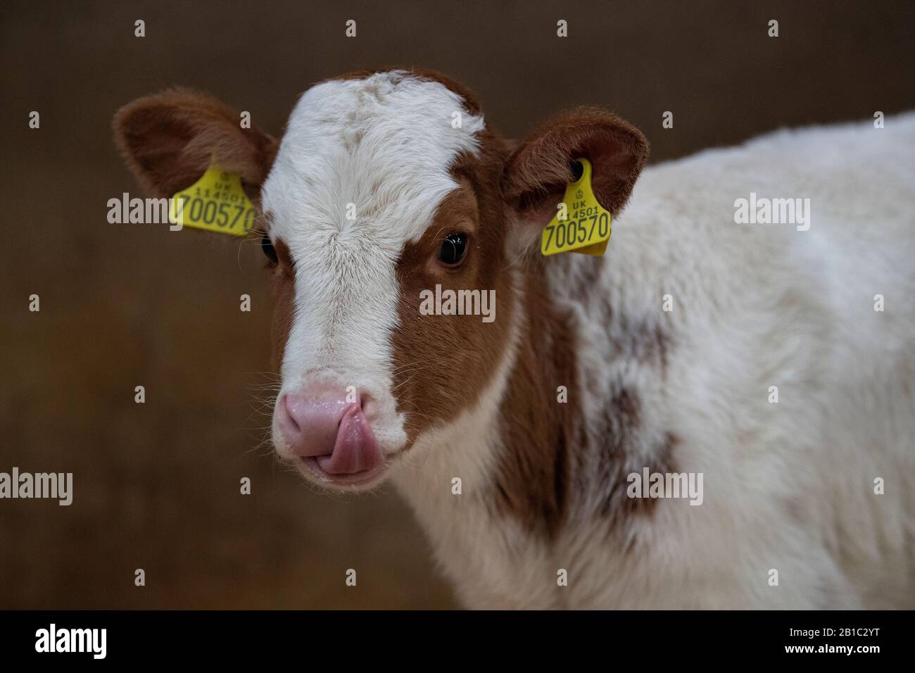 Individual number hi-res stock photography and images - Alamy