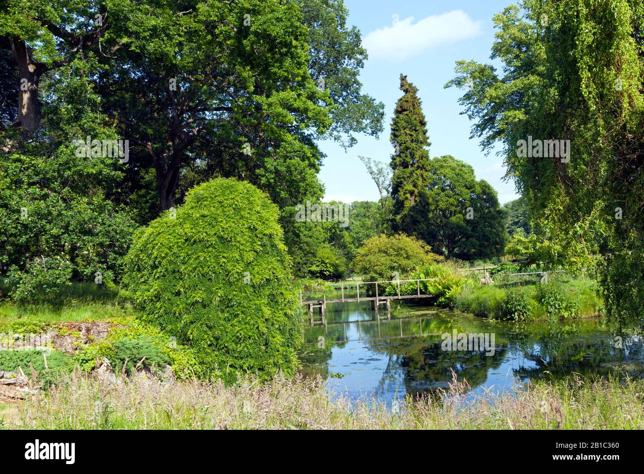 Peaceful summer landscape with small river going through lush woods ...