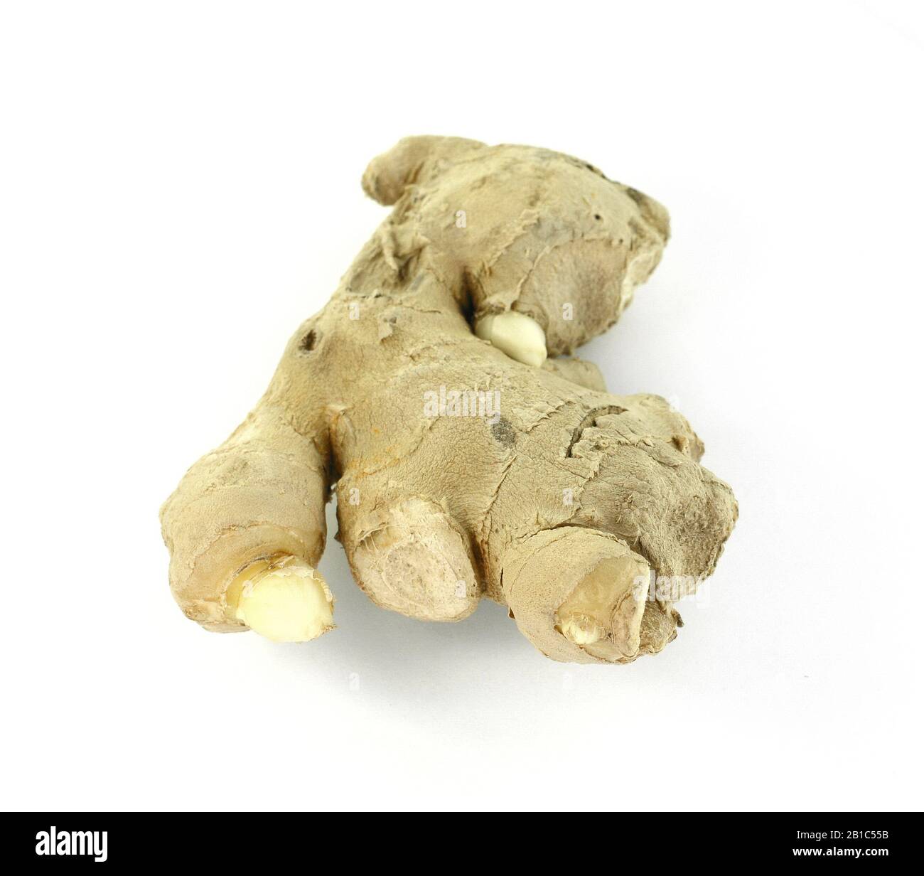 Raw ginger root . Raw ginger root isolate on white background. Ginger ...