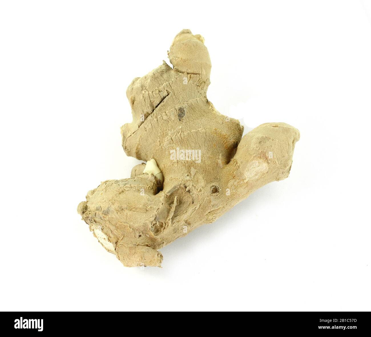 Raw ginger root . Raw ginger root isolate on white background. Ginger ...