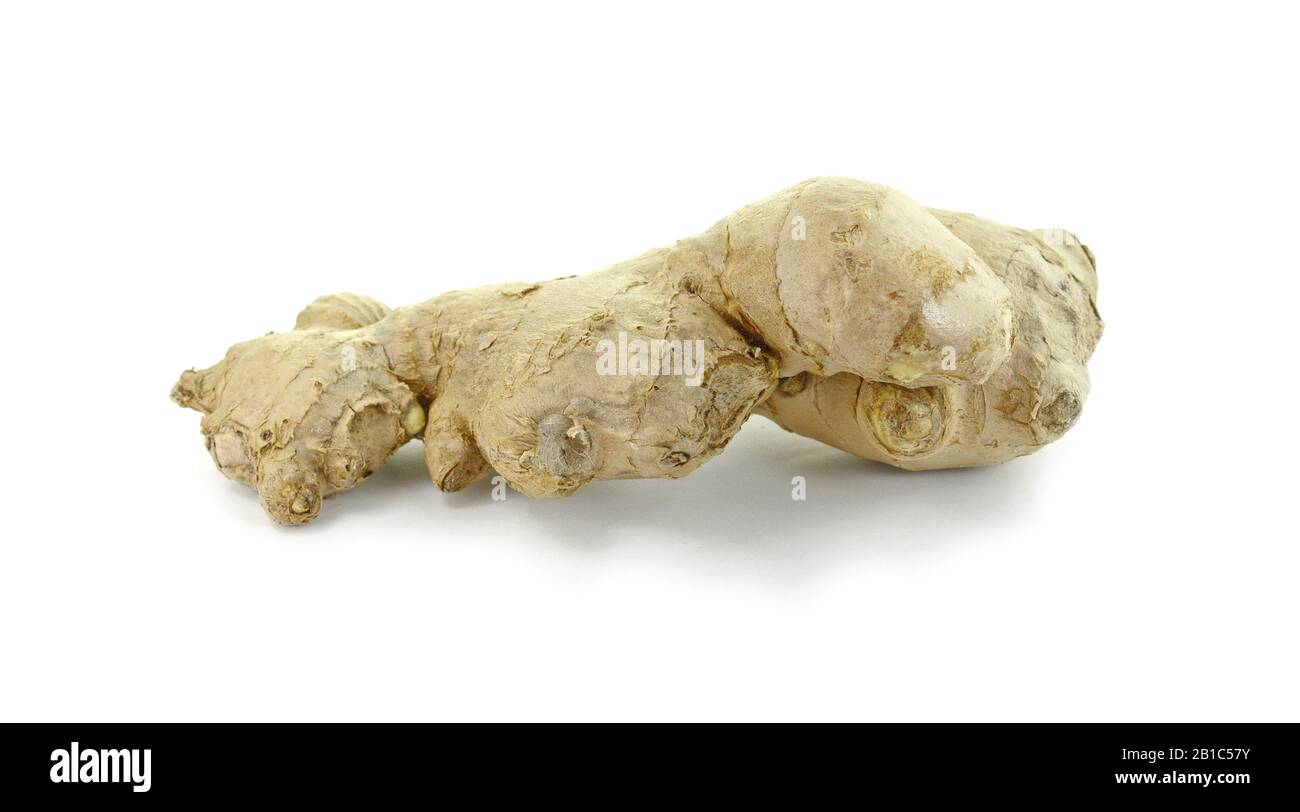 Raw ginger root . Raw ginger root isolate on white background. Ginger ...