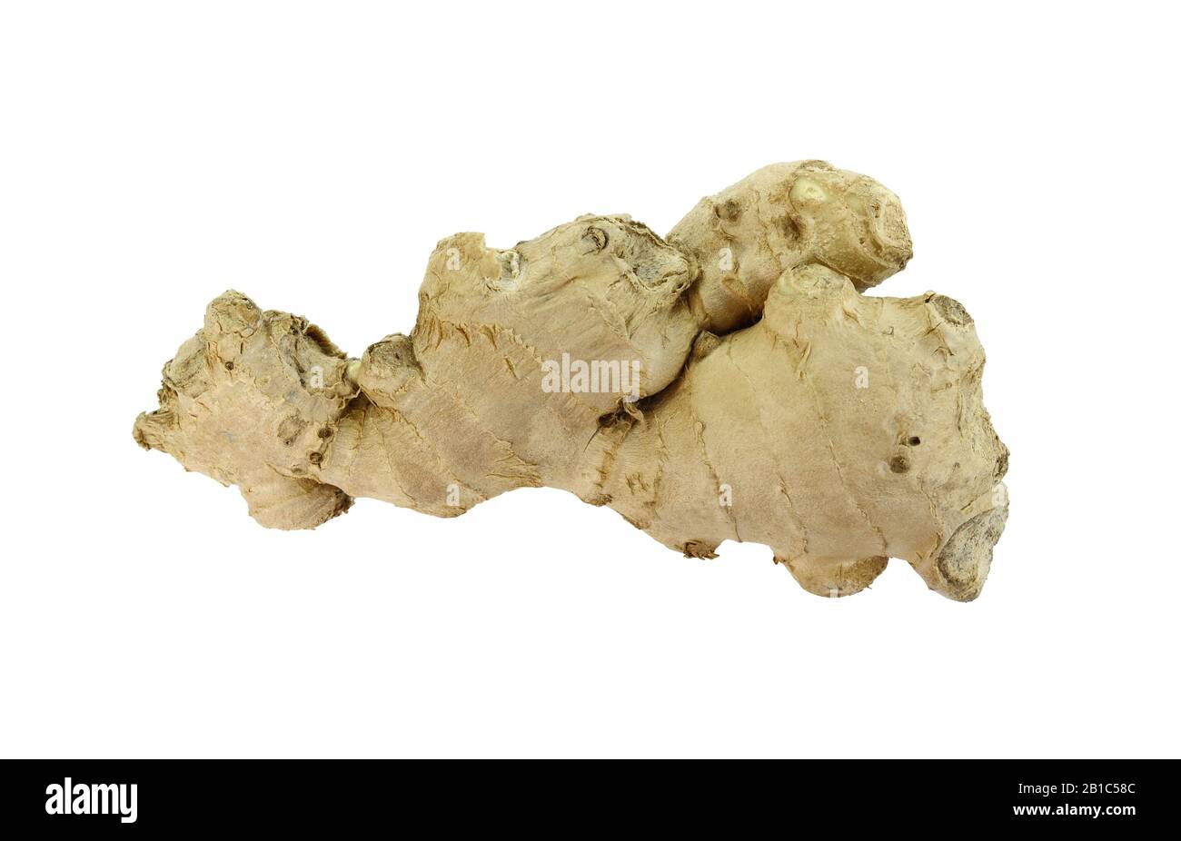 Raw ginger root . Raw ginger root isolate on white background. Ginger ...