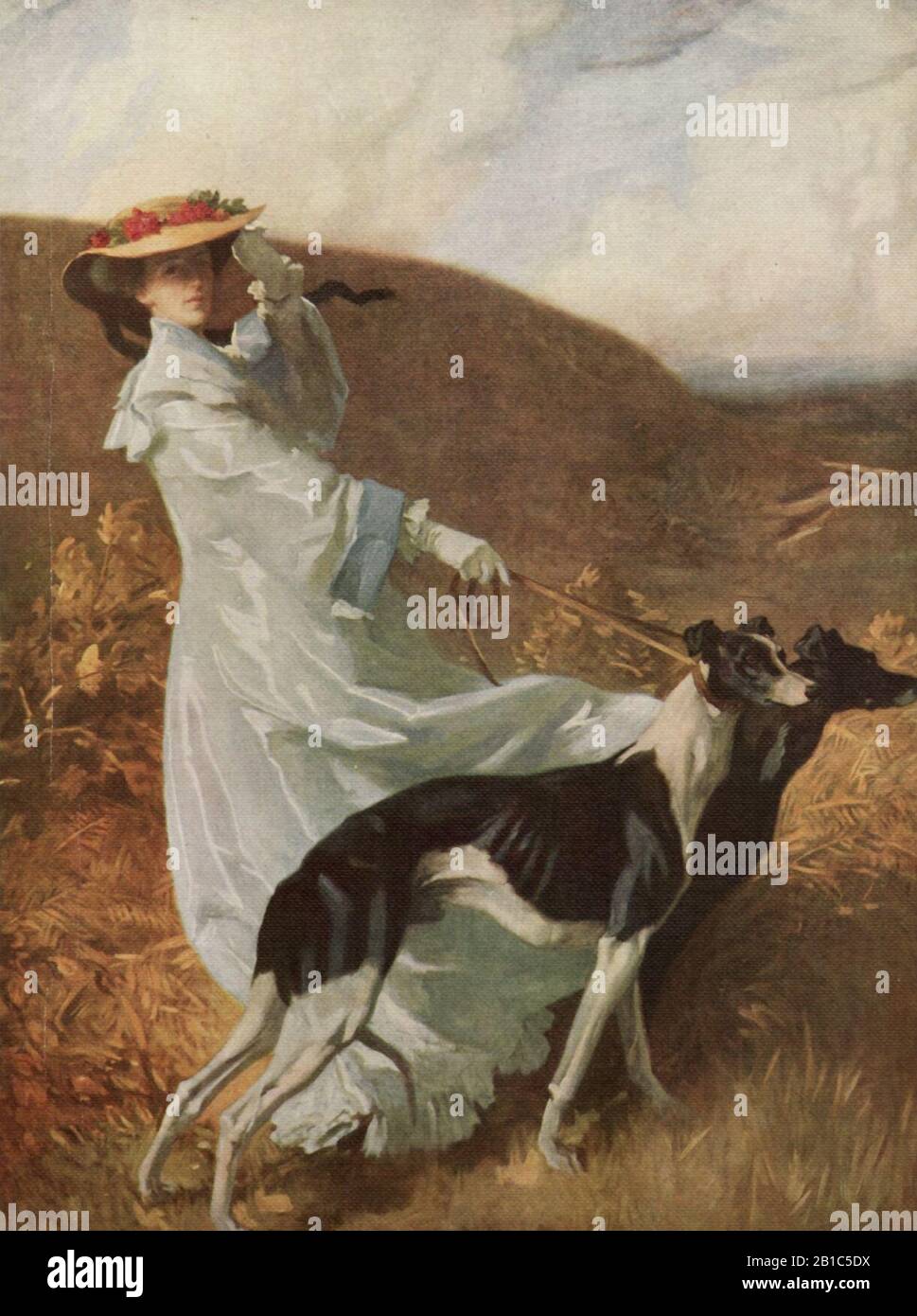 Furse hi-res stock photography and images - Alamy