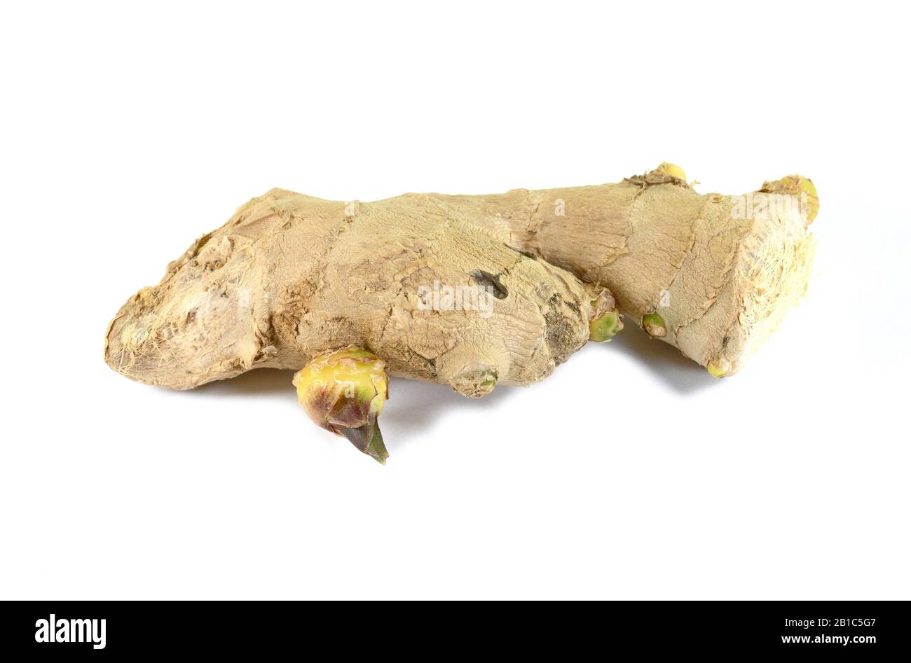 Raw ginger root . Raw ginger root isolate on white background. Ginger ...