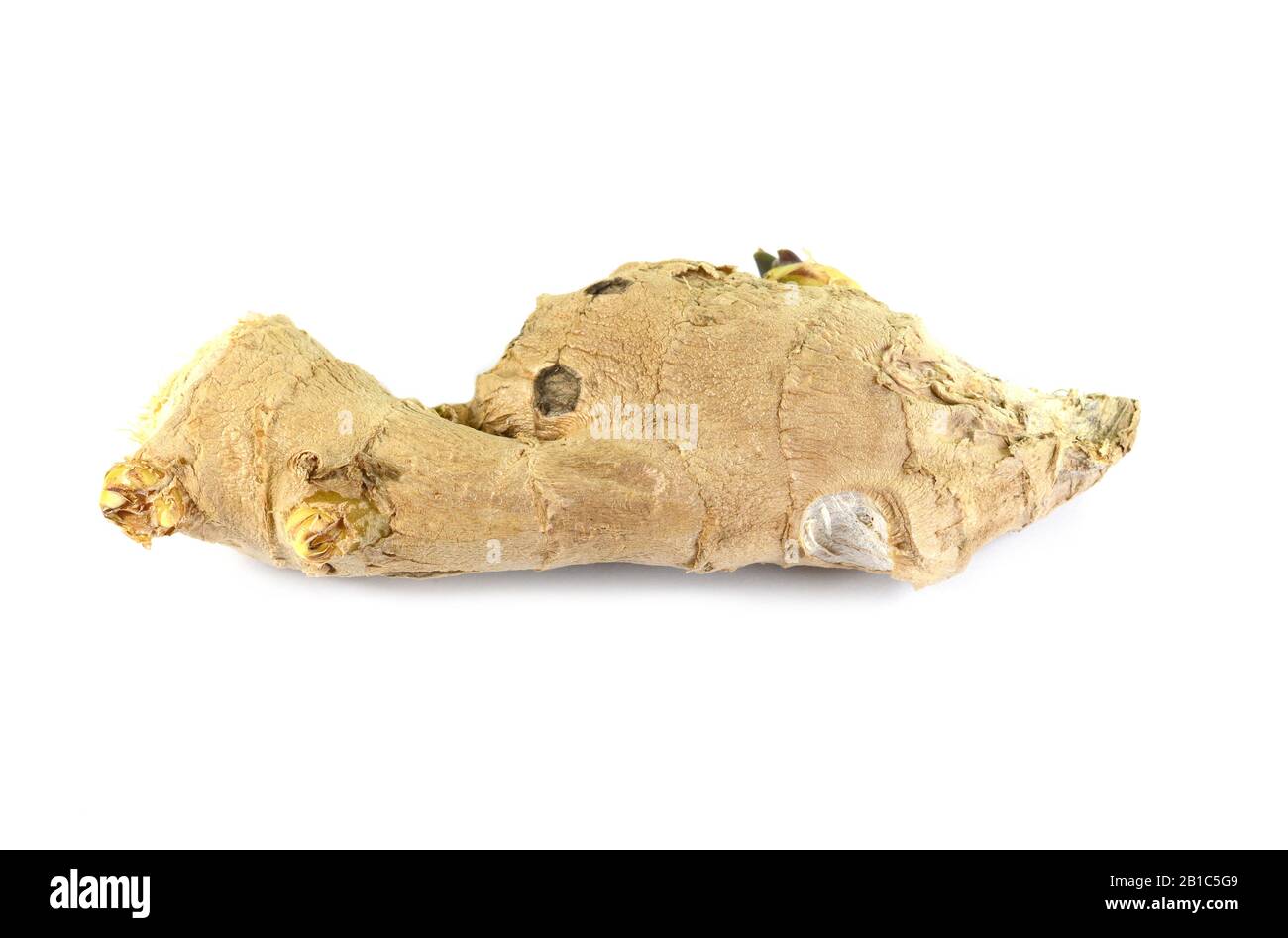 Raw ginger root . Raw ginger root isolate on white background. Ginger ...