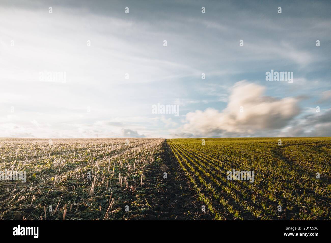 Two fields with moving clouds Stock Photo - Alamy