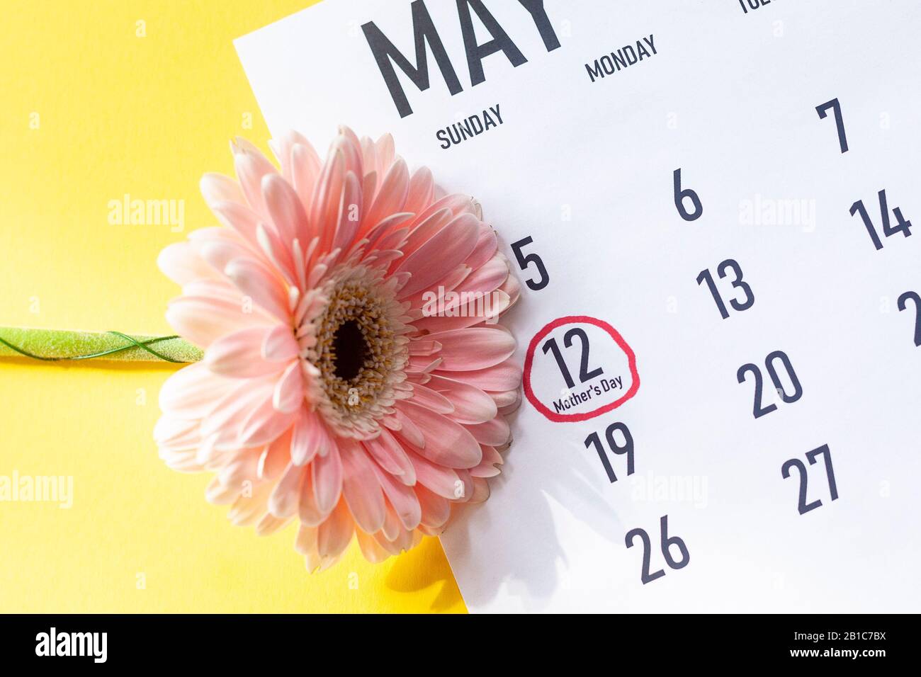 A fresh spring flower and May monthly calendar. Mothers day marked on ...