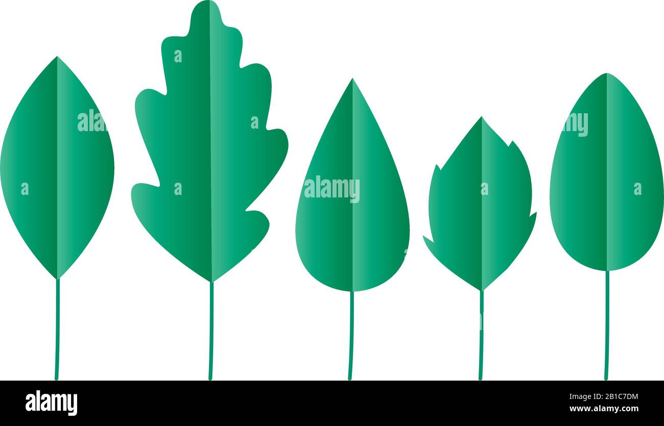 Isolated natural leaves vector design Stock Vector Image & Art - Alamy