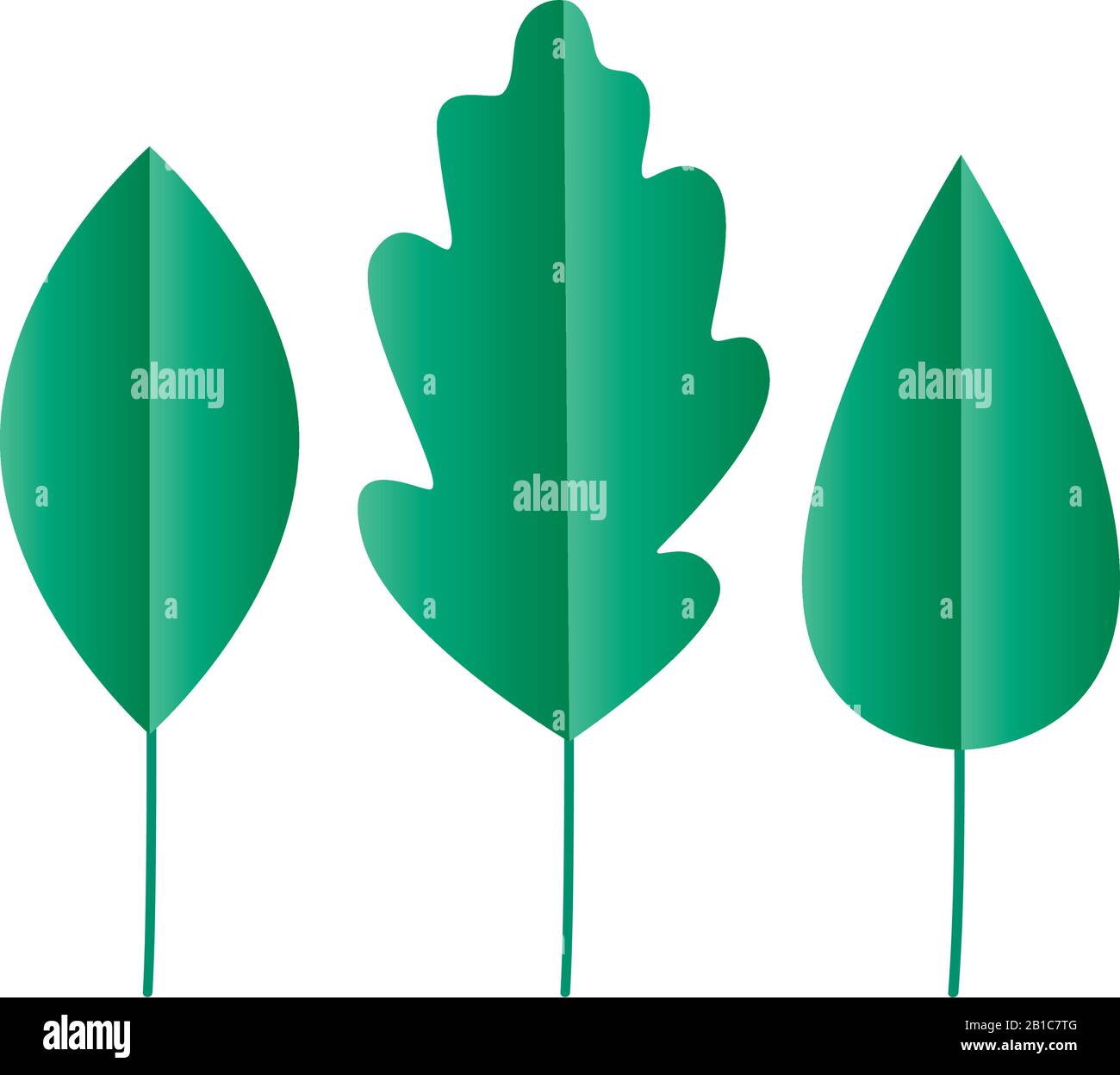 Isolated natural leaves vector design Stock Vector Image & Art - Alamy