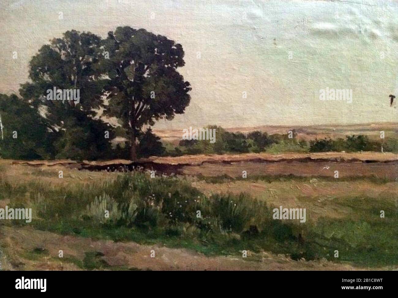 Fyodor Vasilyev Oaks Chaykovsky Stock Photo - Alamy