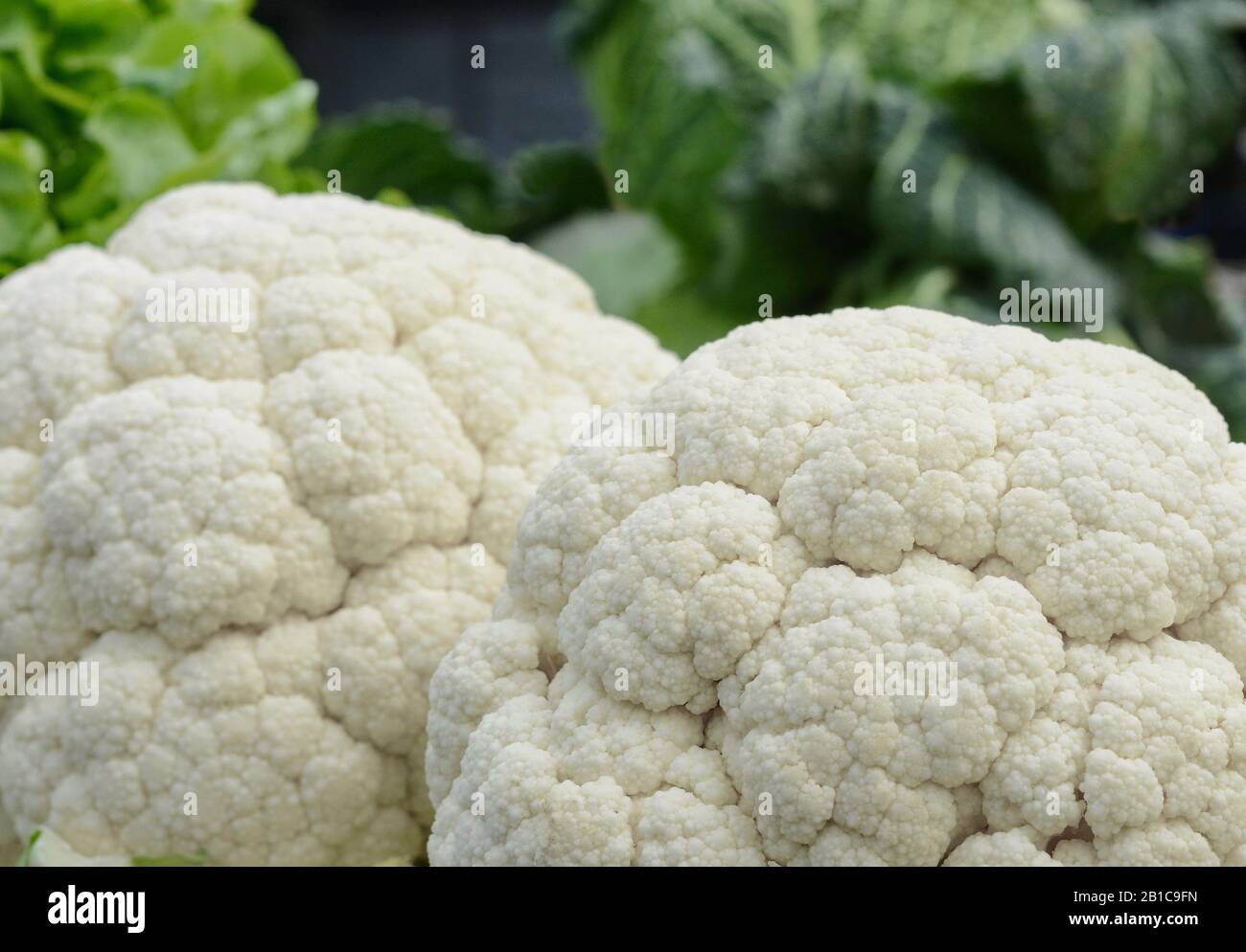 White Cauliflower texture. Cauliflower background Stock Photo - Alamy