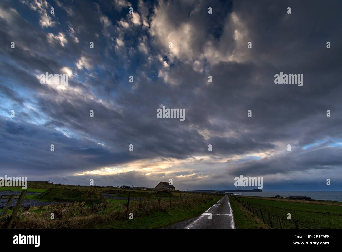 Narrow head hi-res stock photography and images - Alamy