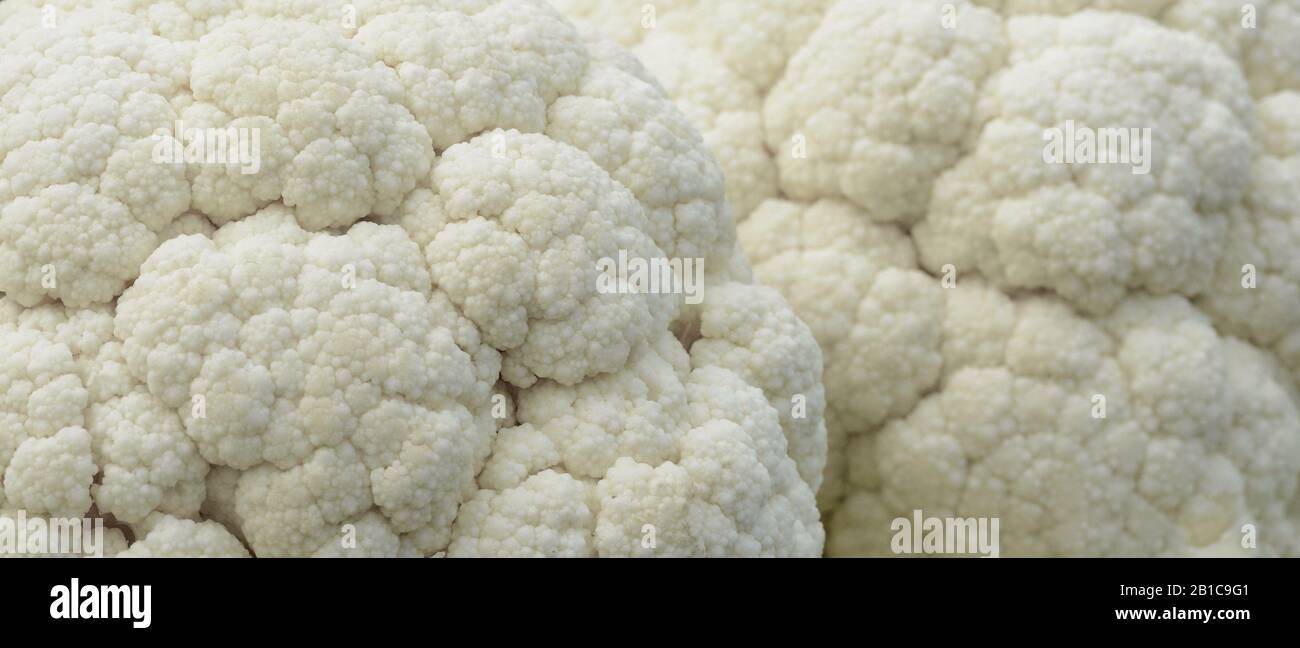 Cauliflower texture. Cauliflower background Stock Photo - Alamy