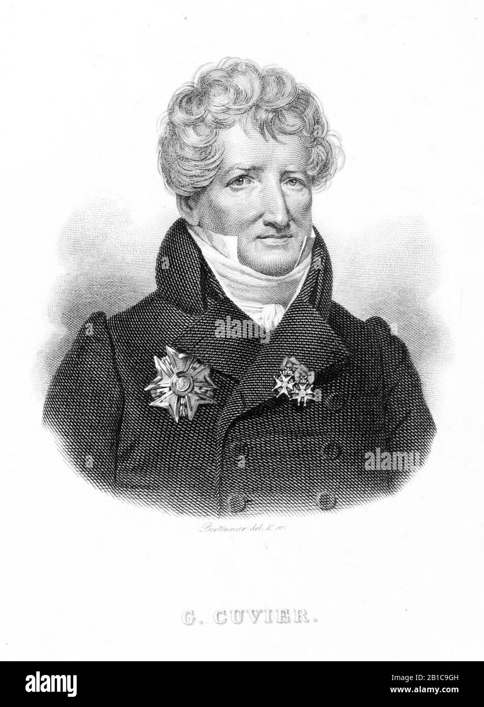 Cuvier Cut Out Stock Images & Pictures - Alamy