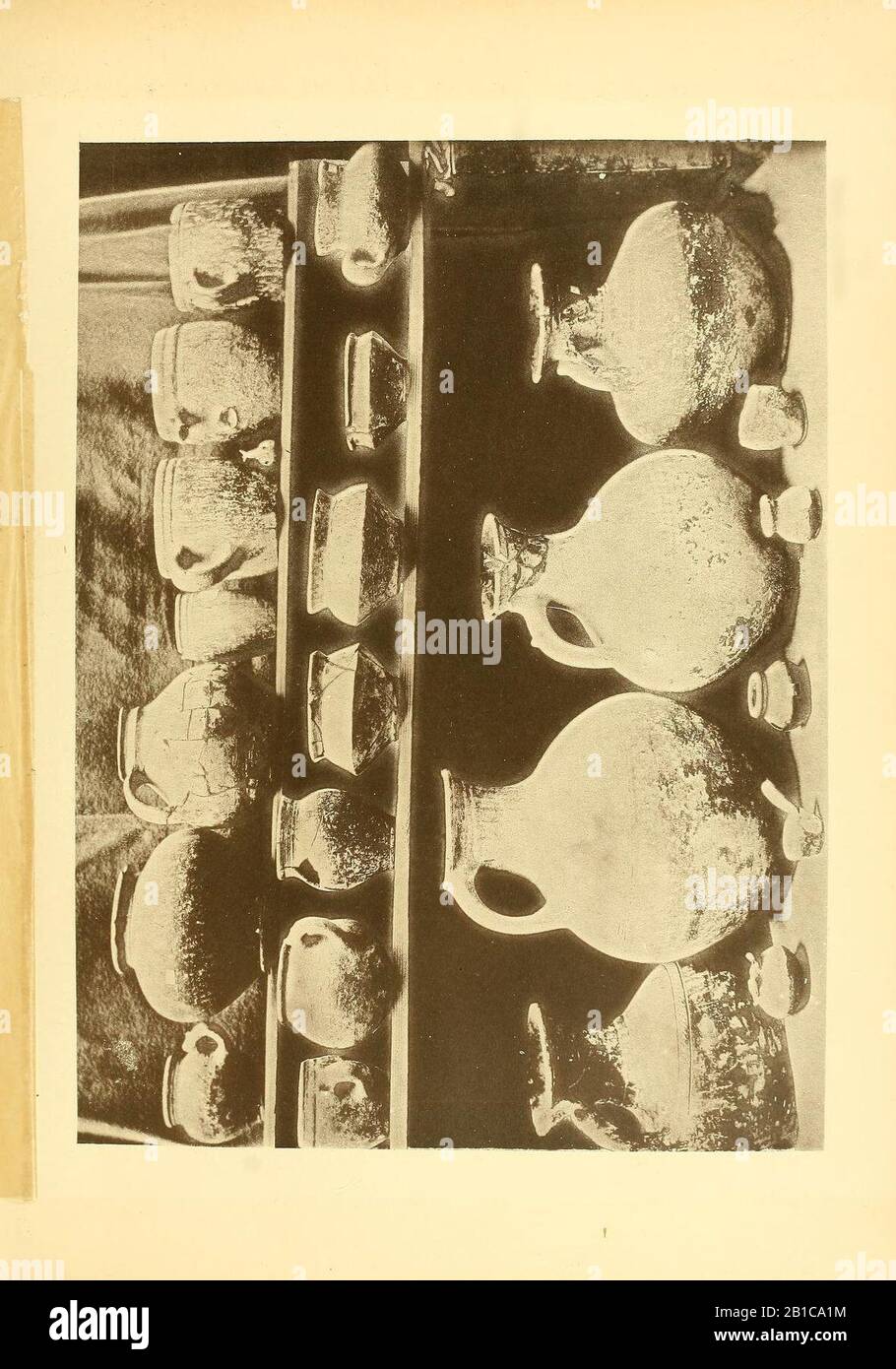 Radde hi-res stock photography and images - Alamy