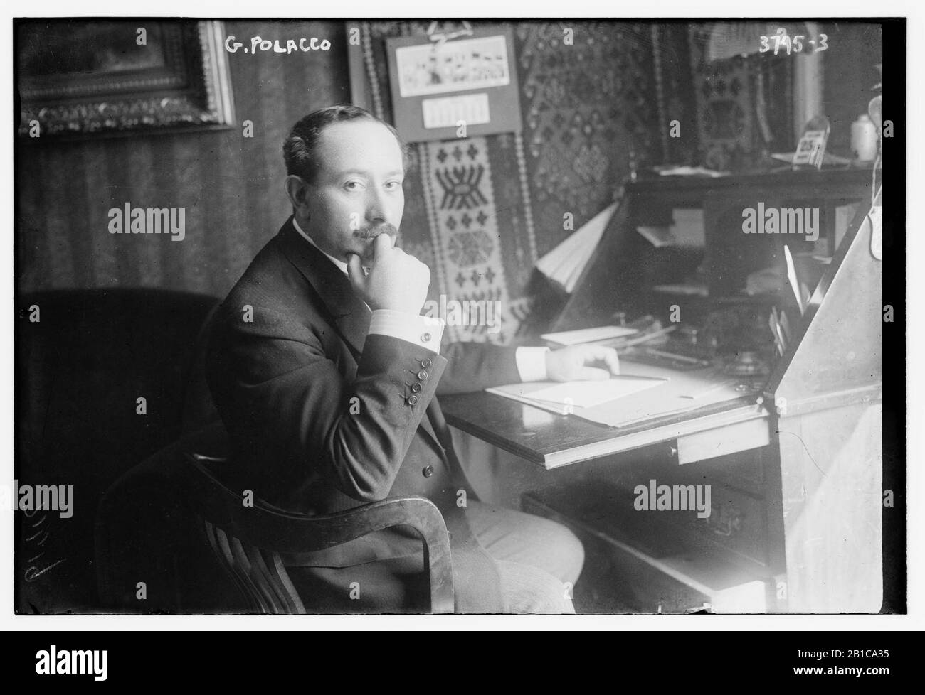 Polacco polacco hi-res stock photography and images - Alamy