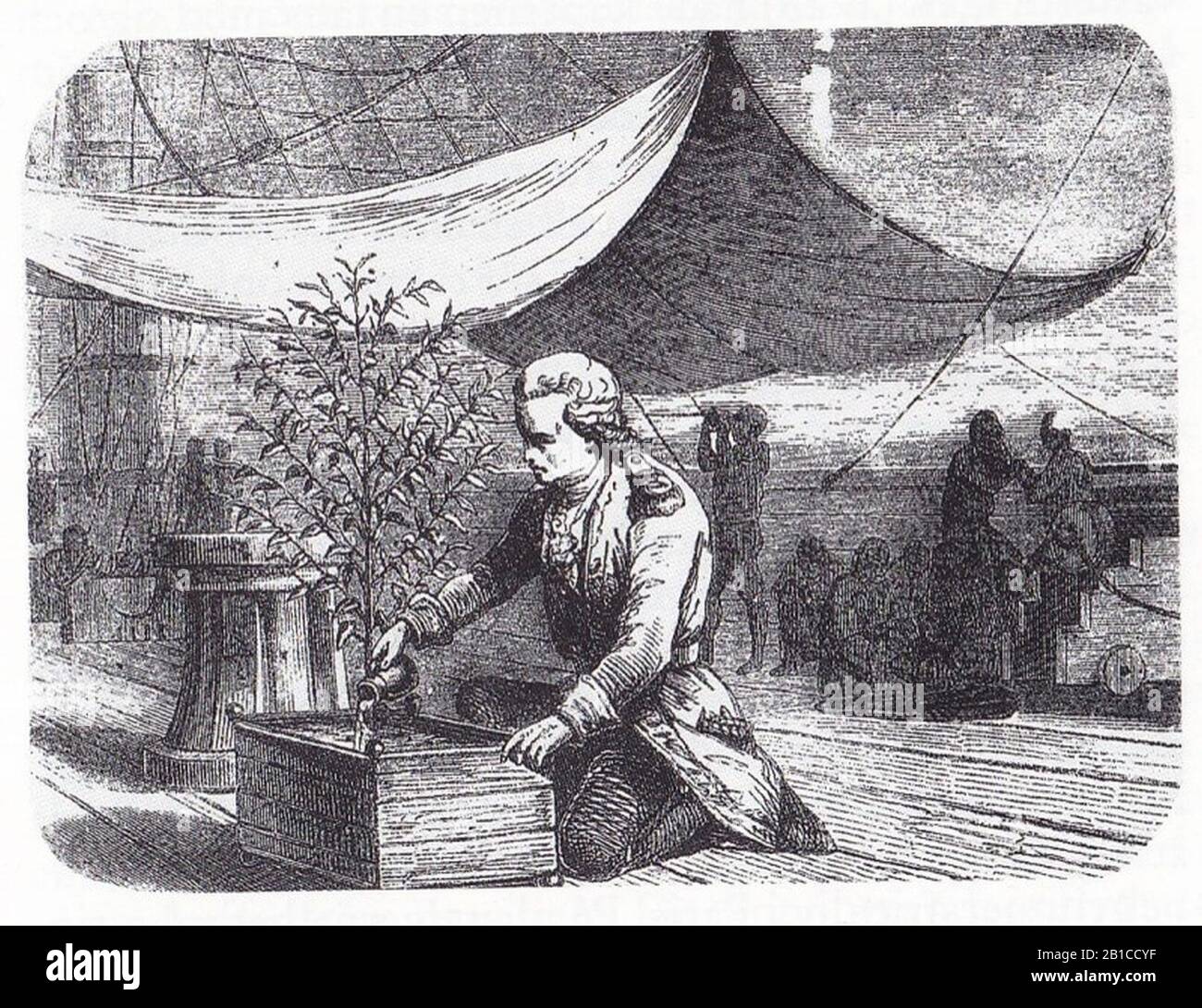 Gabriel De Clieu Stock Photo - Alamy