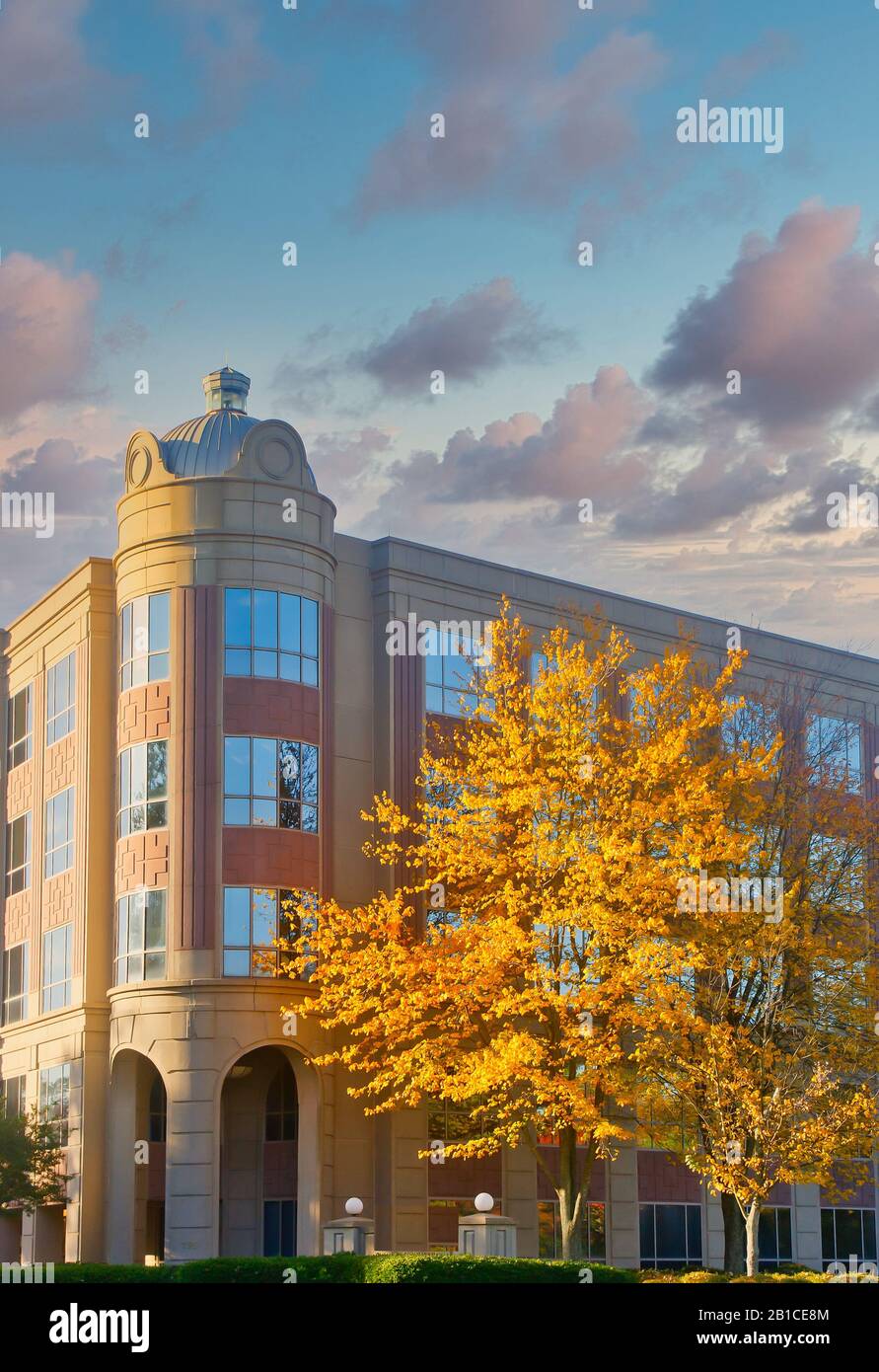 Office Building Behind Autumn Tree in Golden Hour Stock Photo - Alamy