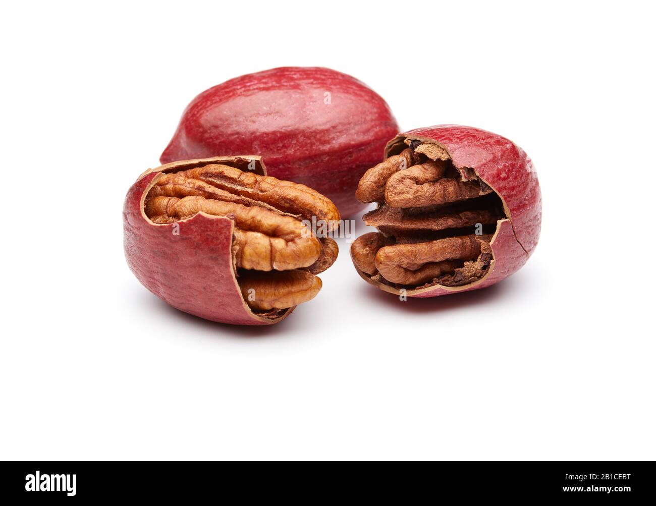 Pecan Isolated on White Background Stock Photo - Alamy