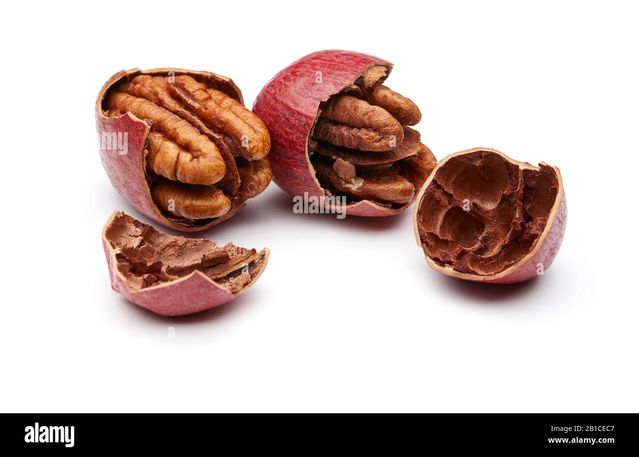 Pecan Isolated on White Background Stock Photo - Alamy