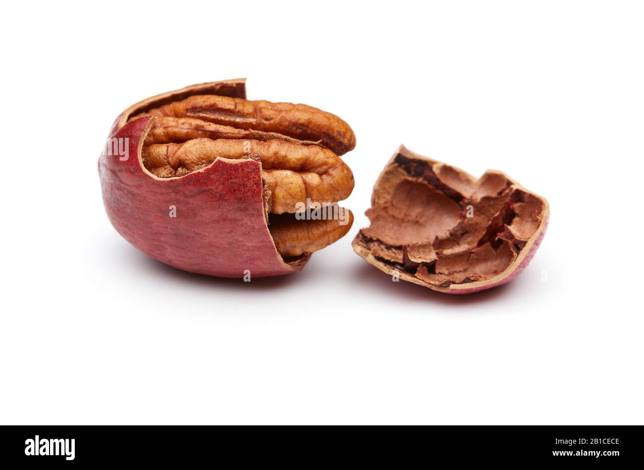 Pecan Isolated on White Background Stock Photo - Alamy